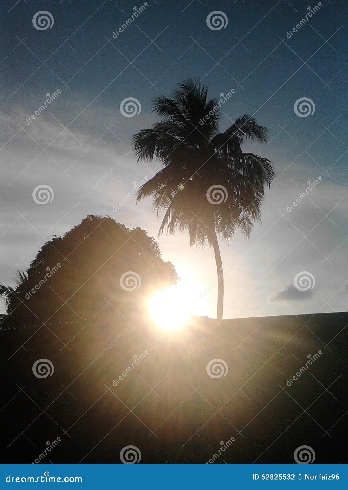 Sun reflection stock photo. Image of nature, reflection - 62825532