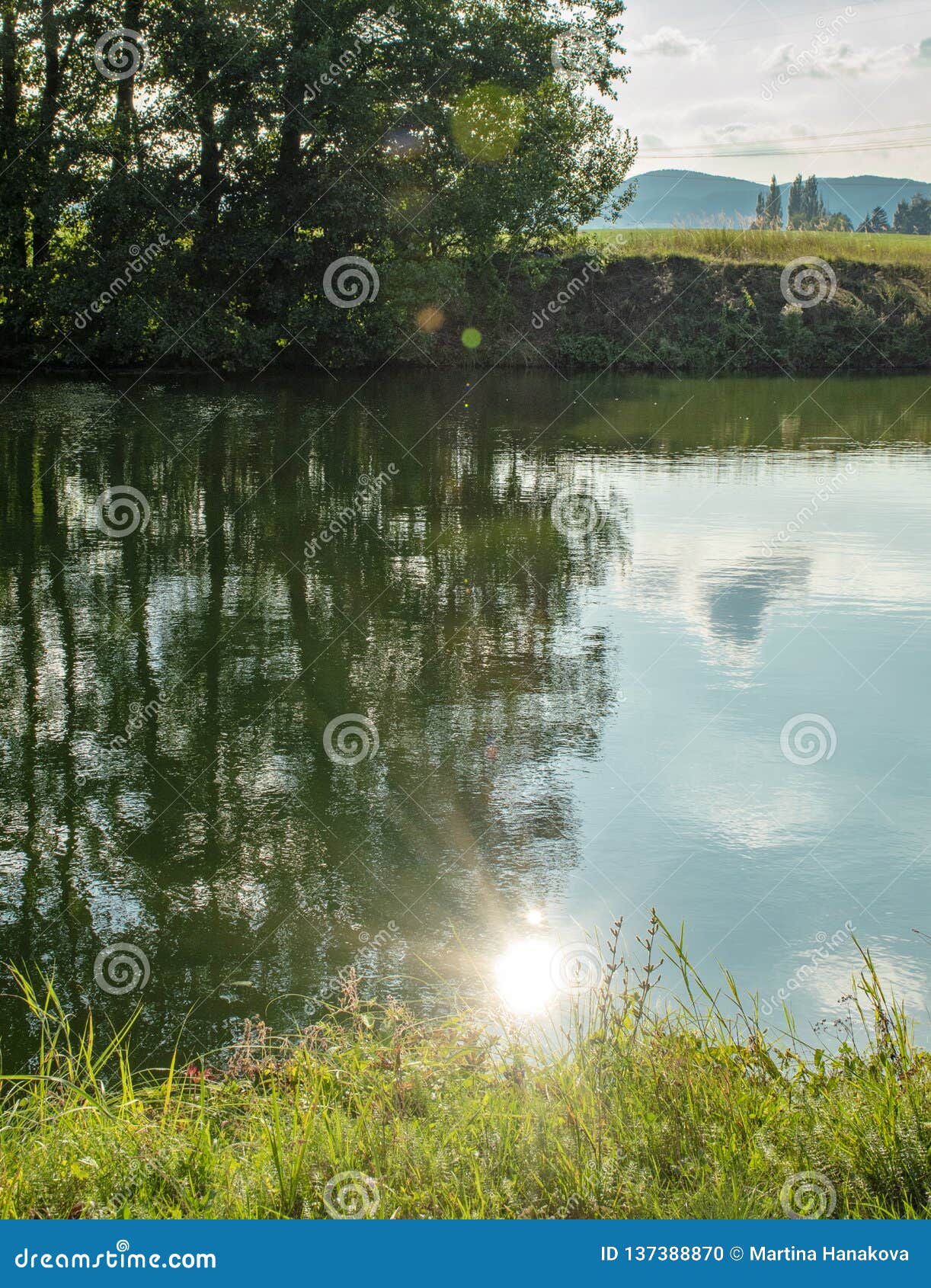 Sun Reflection on the Lake in the Summer Stock Photo - Image of river ...