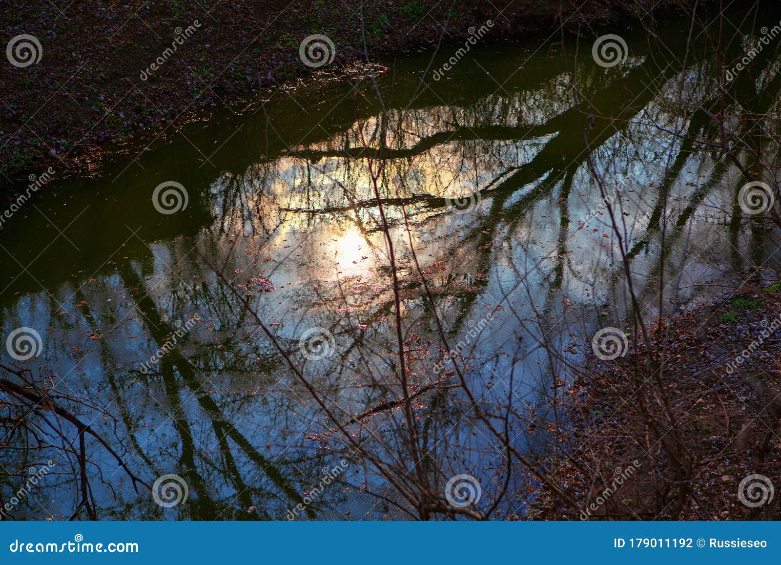 Sun Reflection in the Pond Water Stock Photo - Image of nature, puddle ...