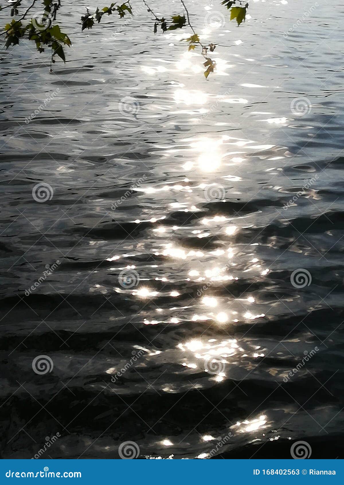 Background Sun Reflexion in the Water Stock Image - Image of sunshine ...