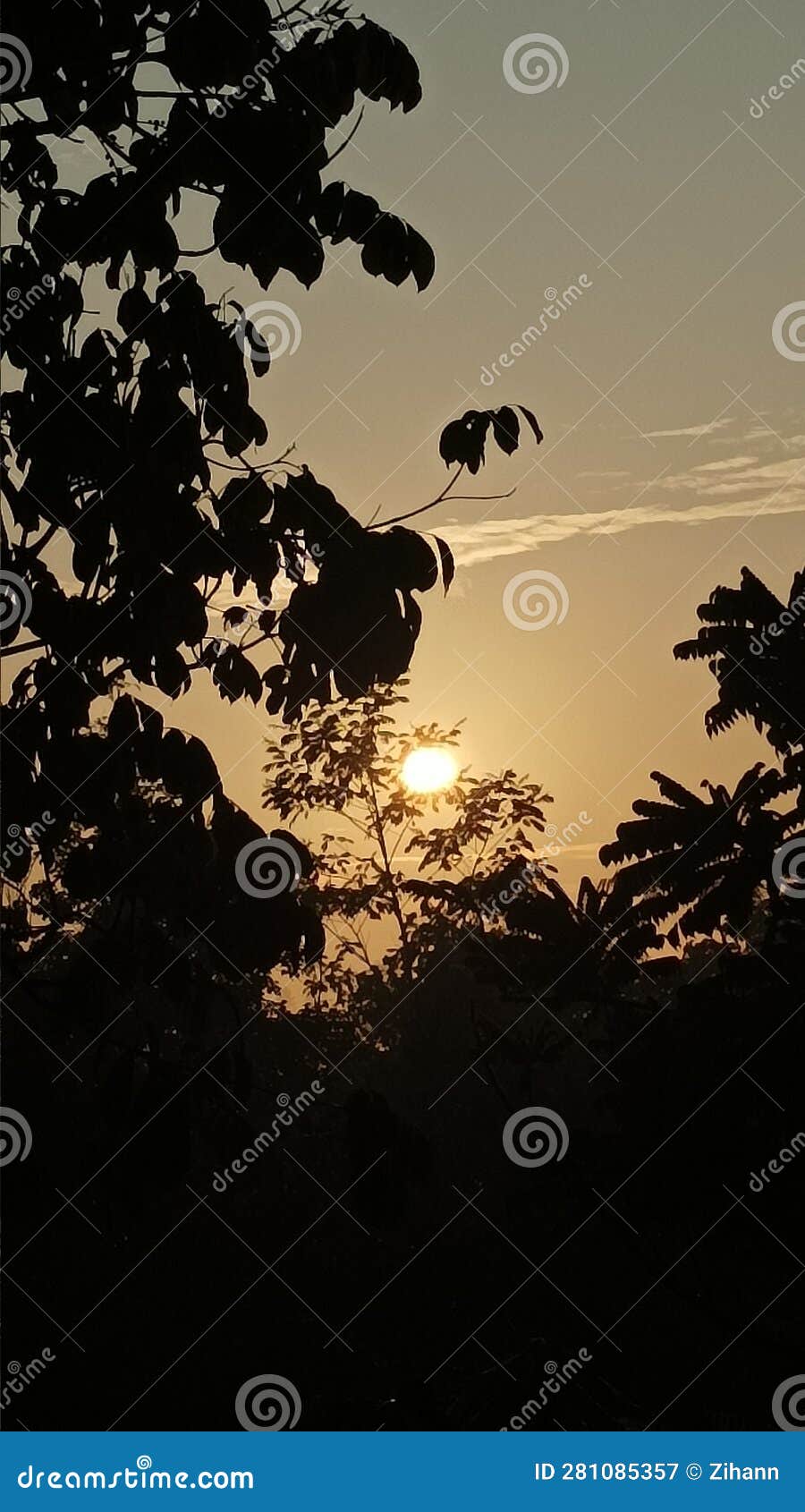 Sun rice stock image. Image of morning, sunrise, sketsa - 281085357
