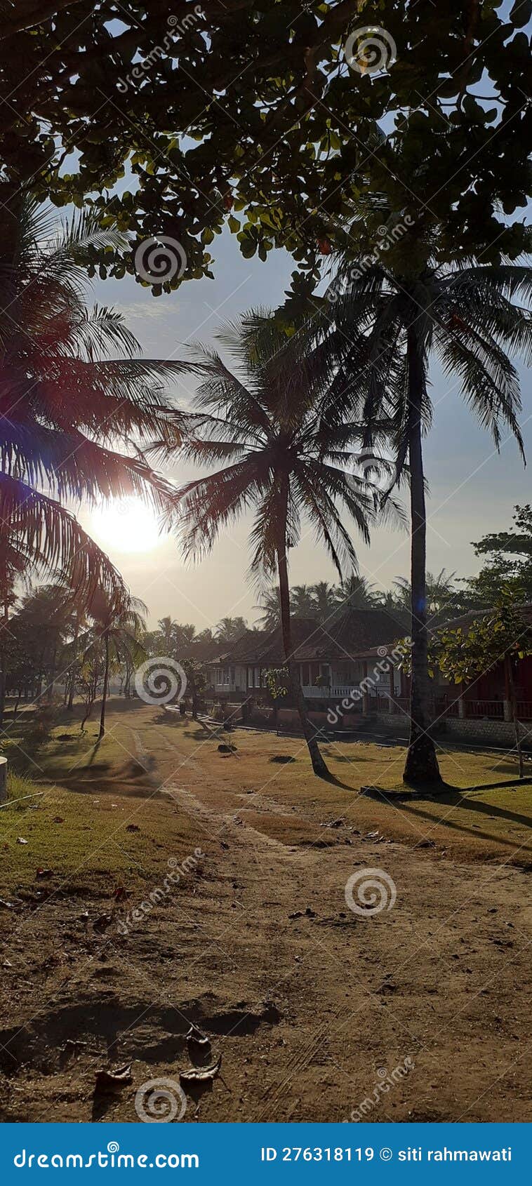Sun rice village at beach stock image. Image of coconut - 276318119