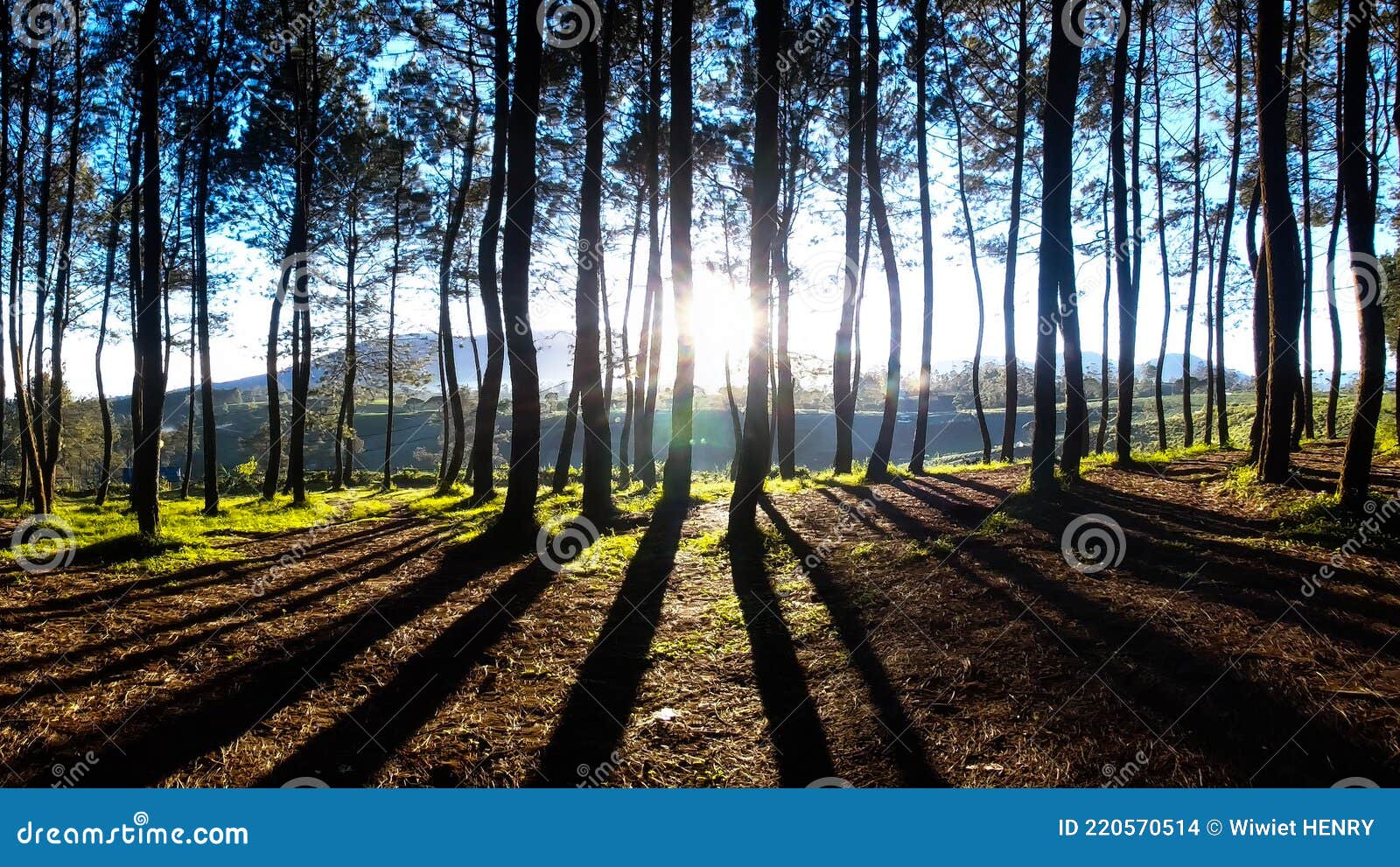 Sun rise at Camping Ground stock photo. Image of camping - 220570514