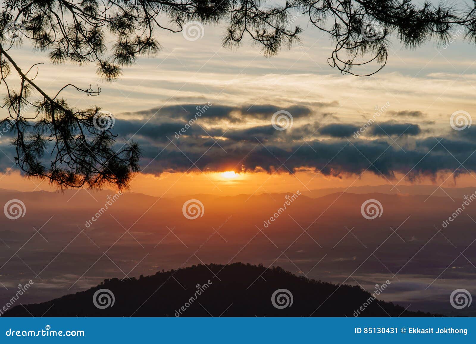 Sun Rise Central Valley in the Mist Stock Image - Image of bright ...