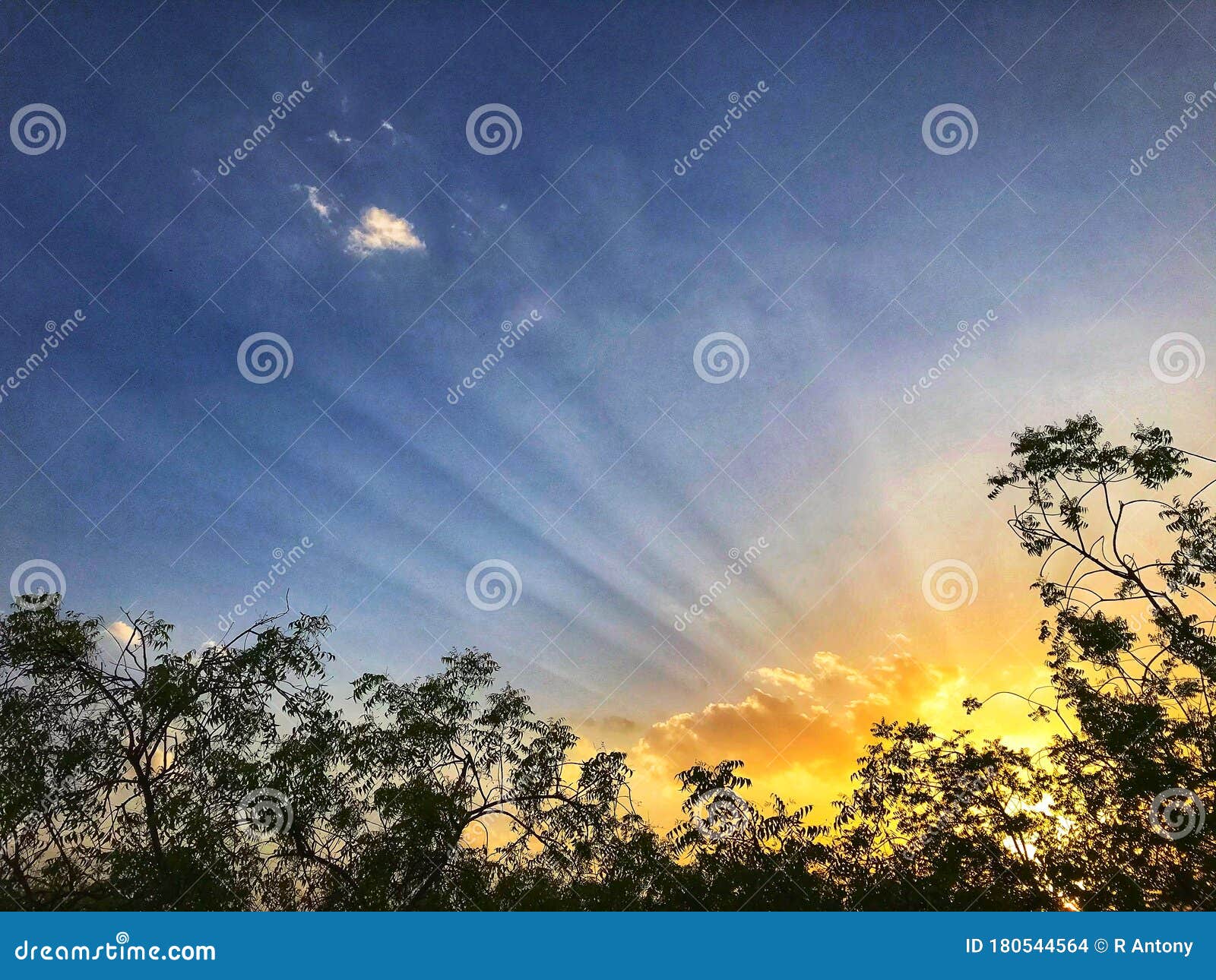 Sun rise in the east stock photo. Image of neck, suit - 180544564