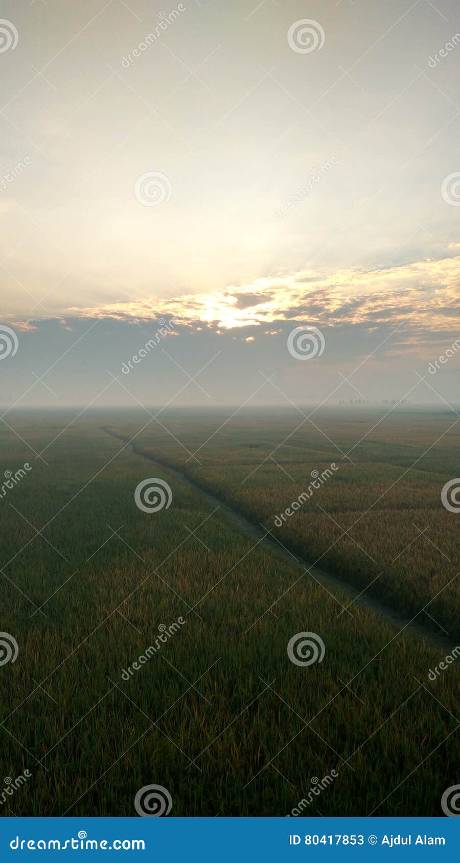The sun rise light stock image. Image of looking, light - 80417853