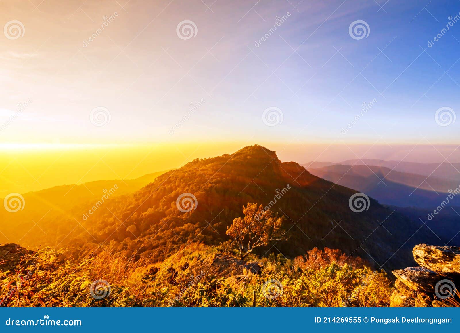Background of the Rising Sun Stock Image - Image of bright, gold: 214269555