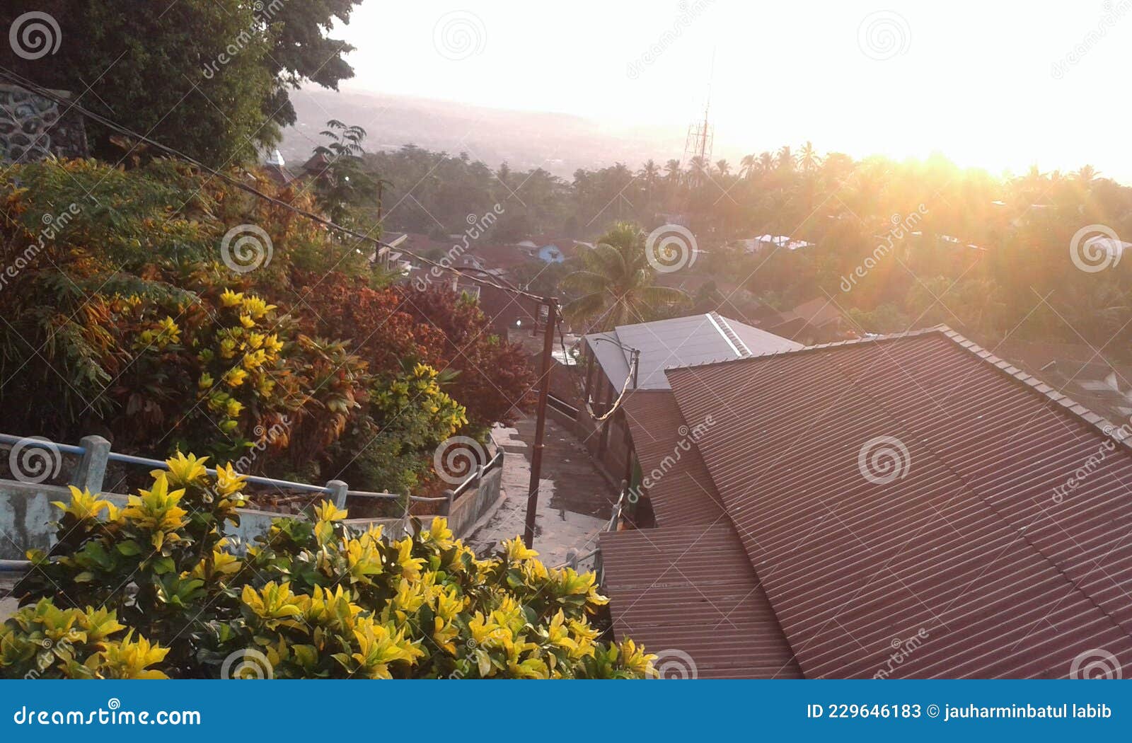 Sun Rise Morning Home Garden Tree Walk Mountain Stock Image - Image of ...