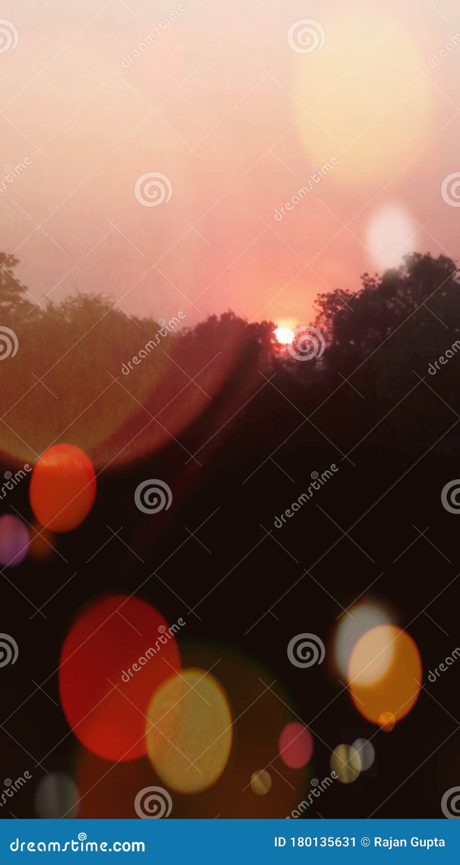 The Sun is Rise in Morning Time Stock Image - Image of lighting, flower ...