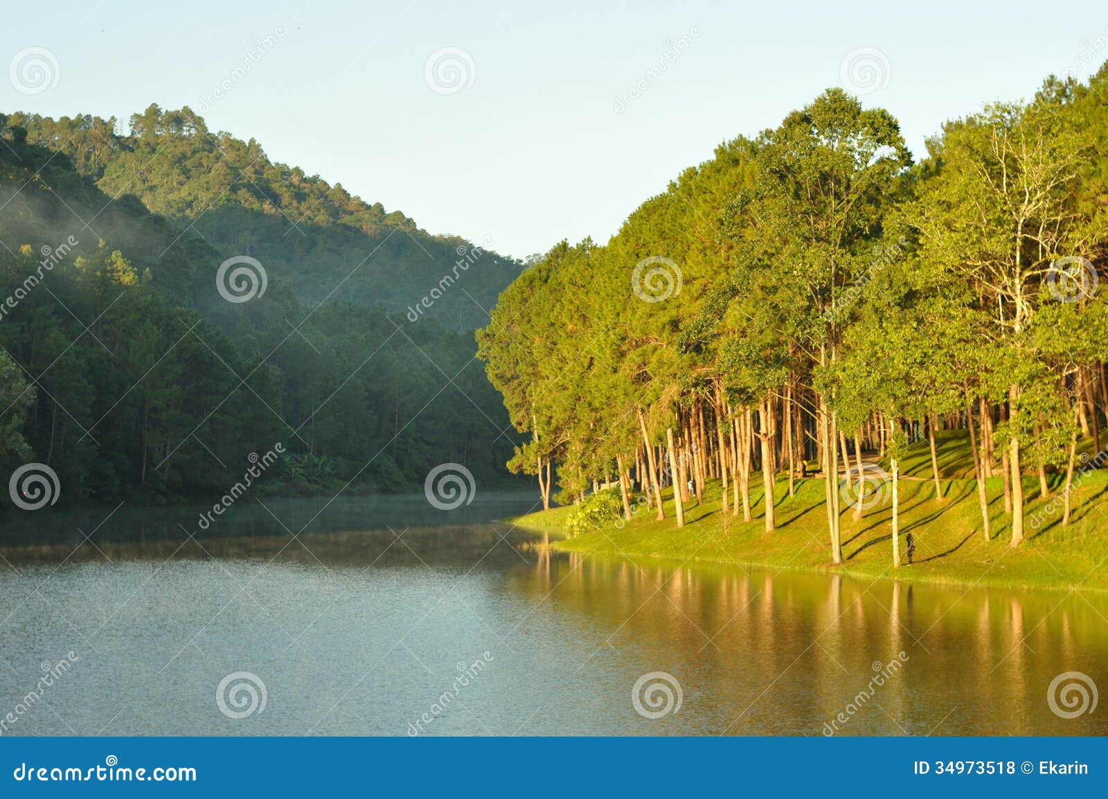 Sun-rise in Morning View, Golden Light on the Forest Stock Photo ...