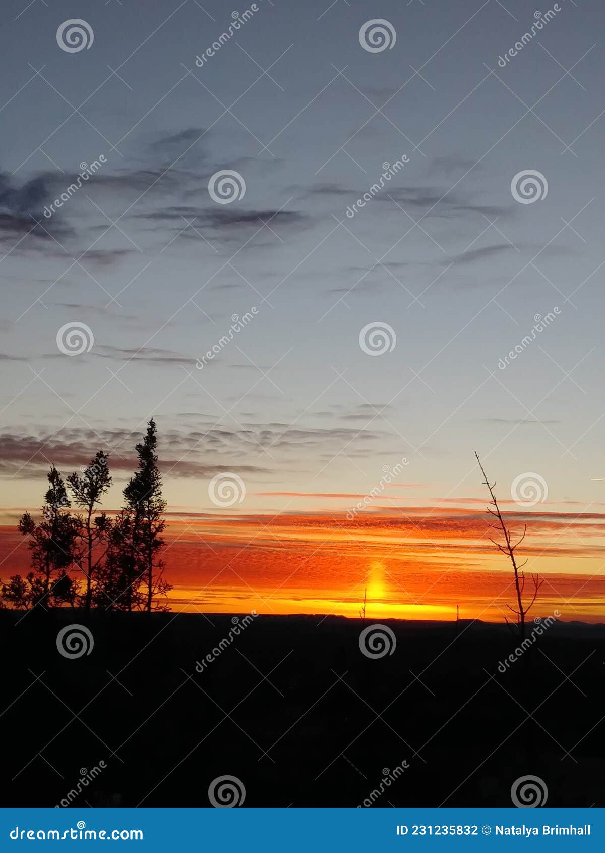 Sun rise sun set lion king stock photo. Image of light - 231235832