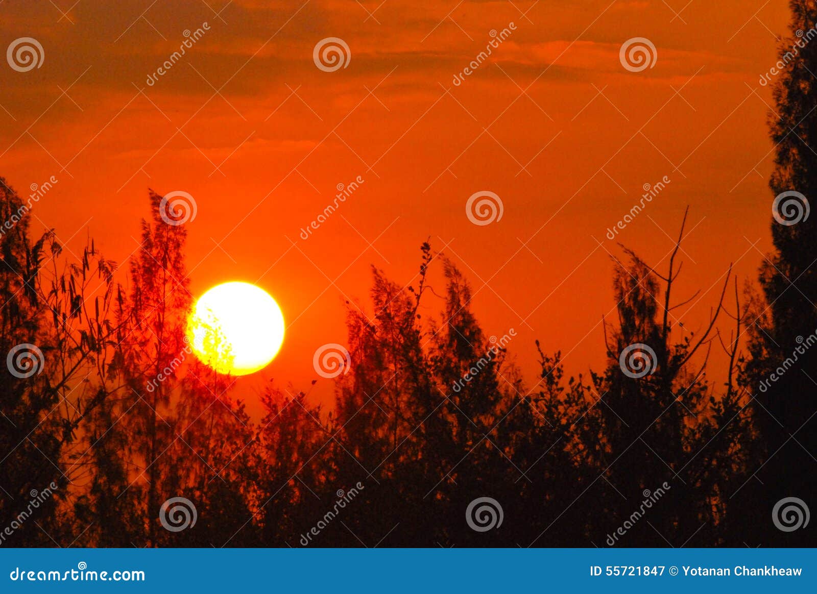 Sun rise up in the morning stock image. Image of countryside - 55721847