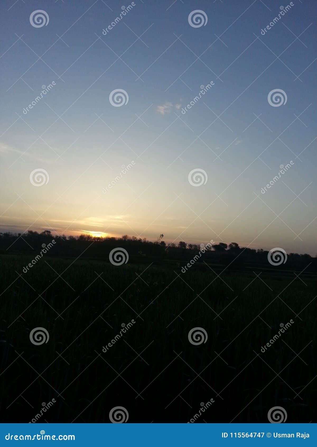 Sun rise stock image. Image of beautiful, sight, rise - 115564747