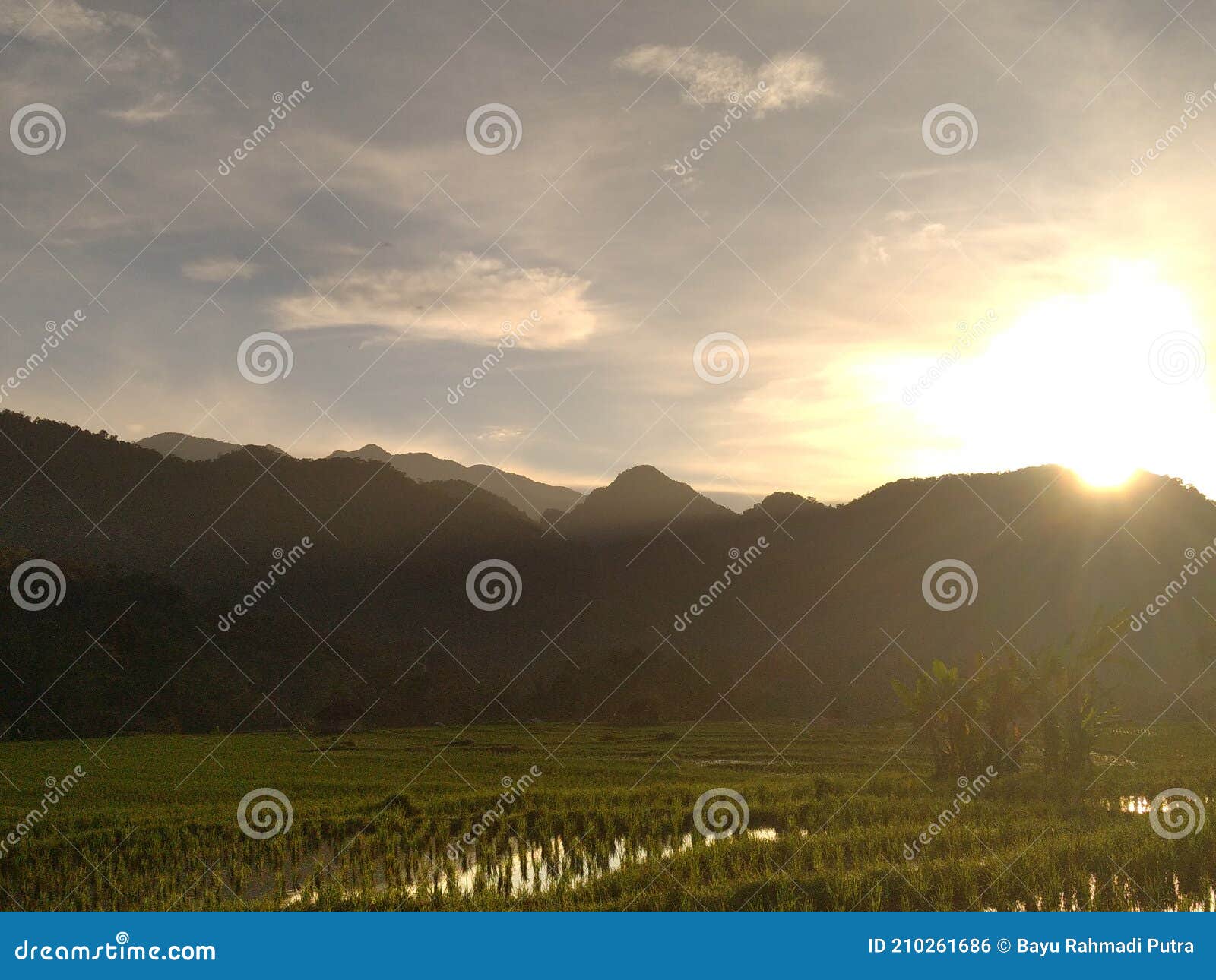 When the sun rises stock photo. Image of morning, cloud - 210261686
