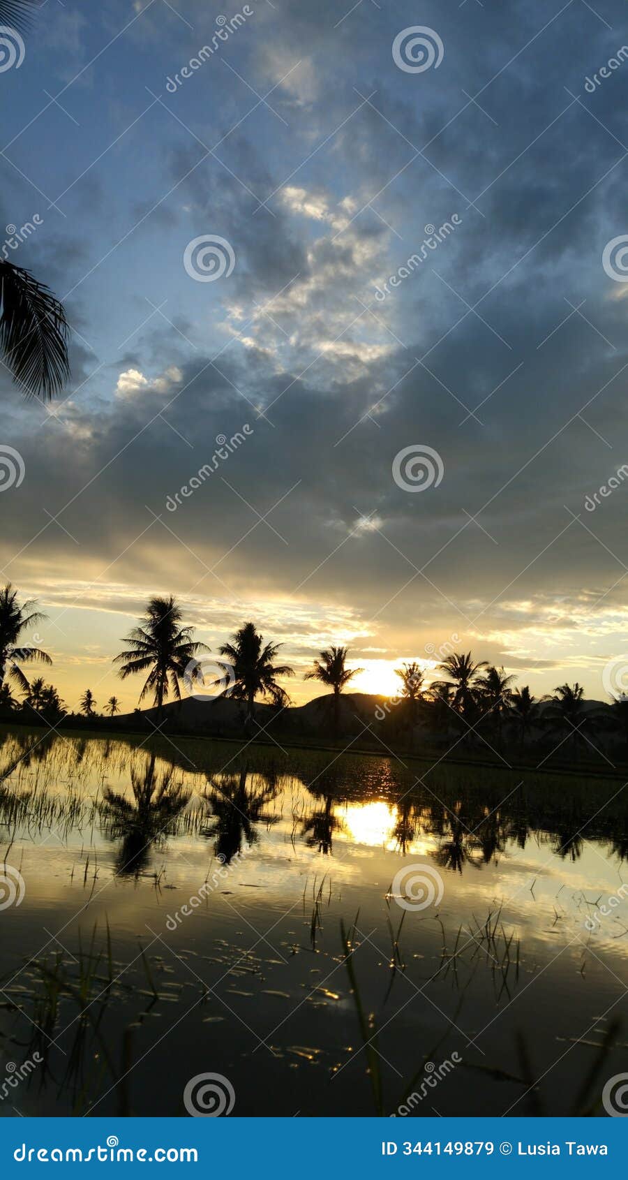 When the Sun Rises, Consider it the First Step Towards Success. Stock ...