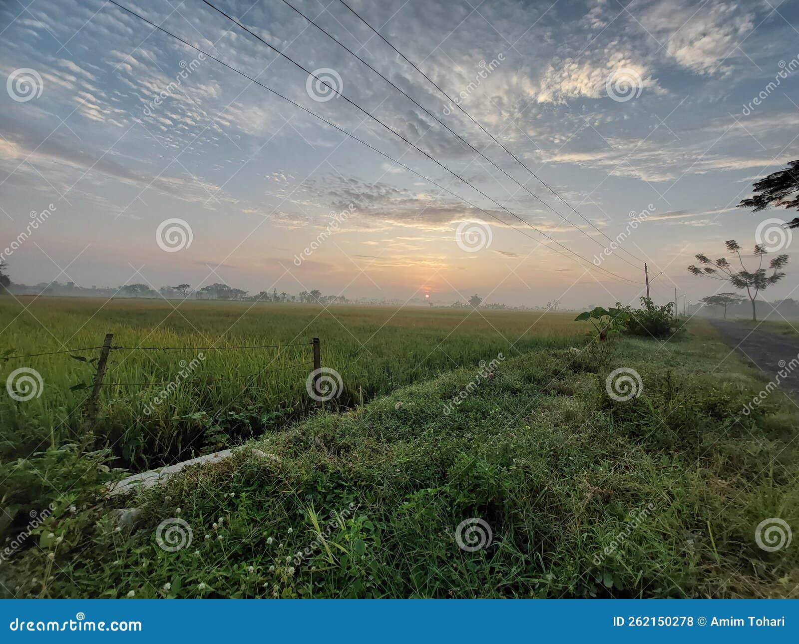 The Sun Rises on the Eastern Horizon Stock Photo - Image of nature ...