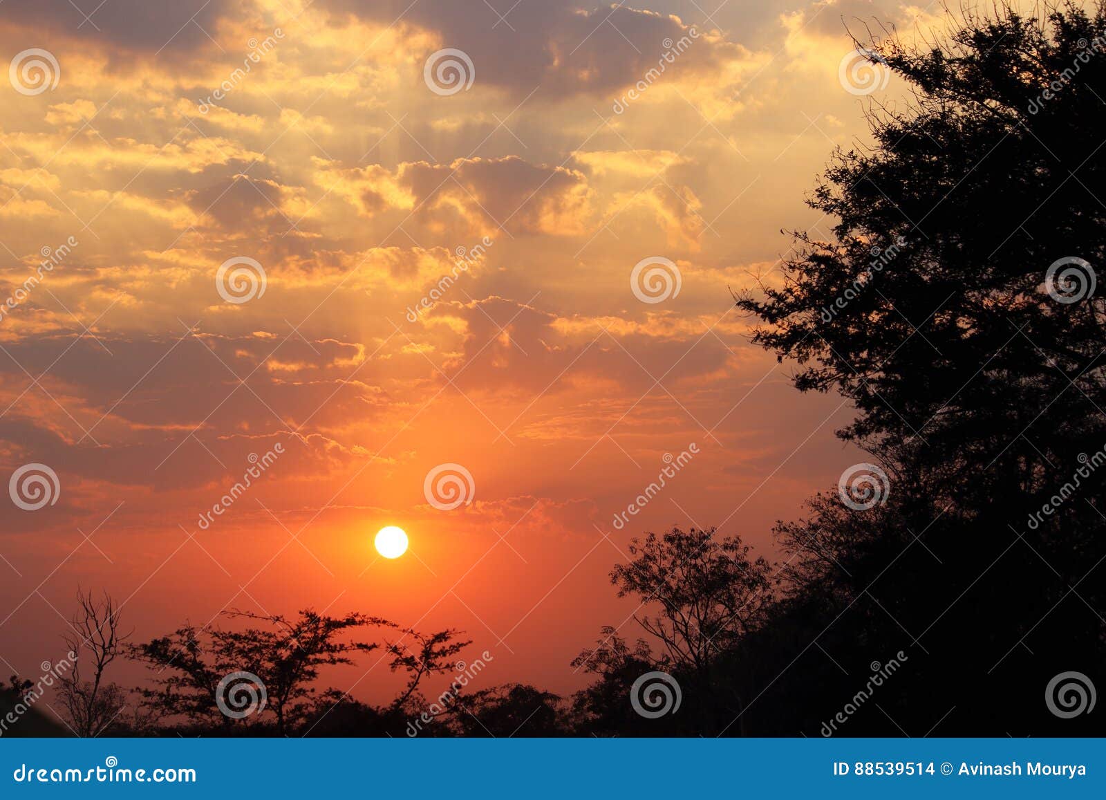 Sun rises editorial stock image. Image of sunrise - 88539514