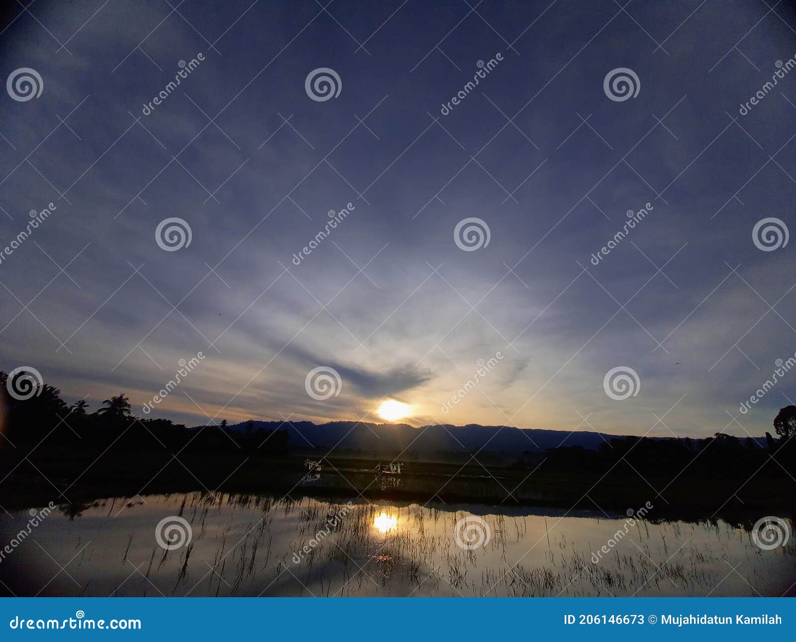 The Sun Rises in the Middle of a Village& X27;s Rice Fields Stock Image ...