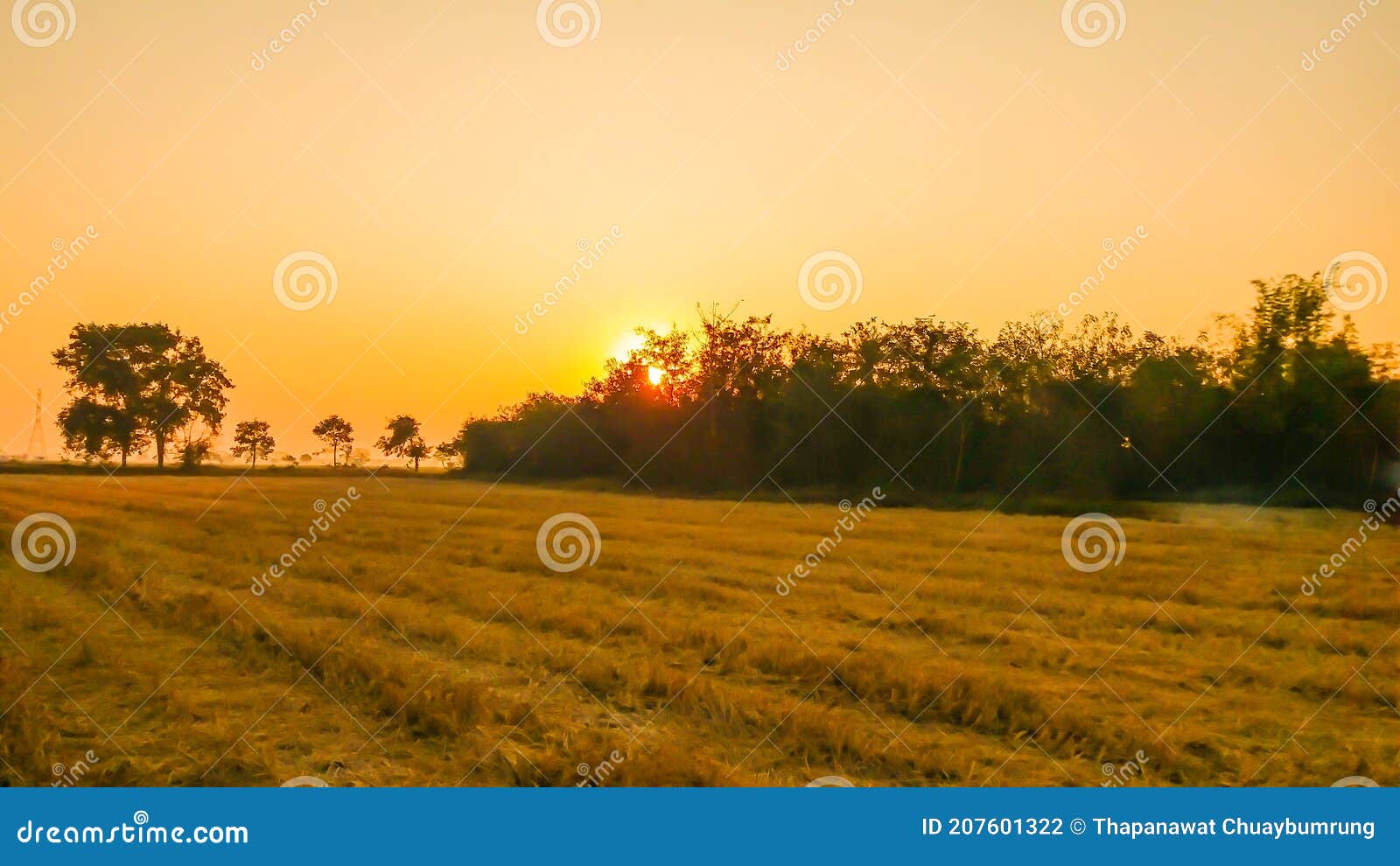 The Sun Rises in the Morning the Laws of Nature that Cannot Be Avoided ...