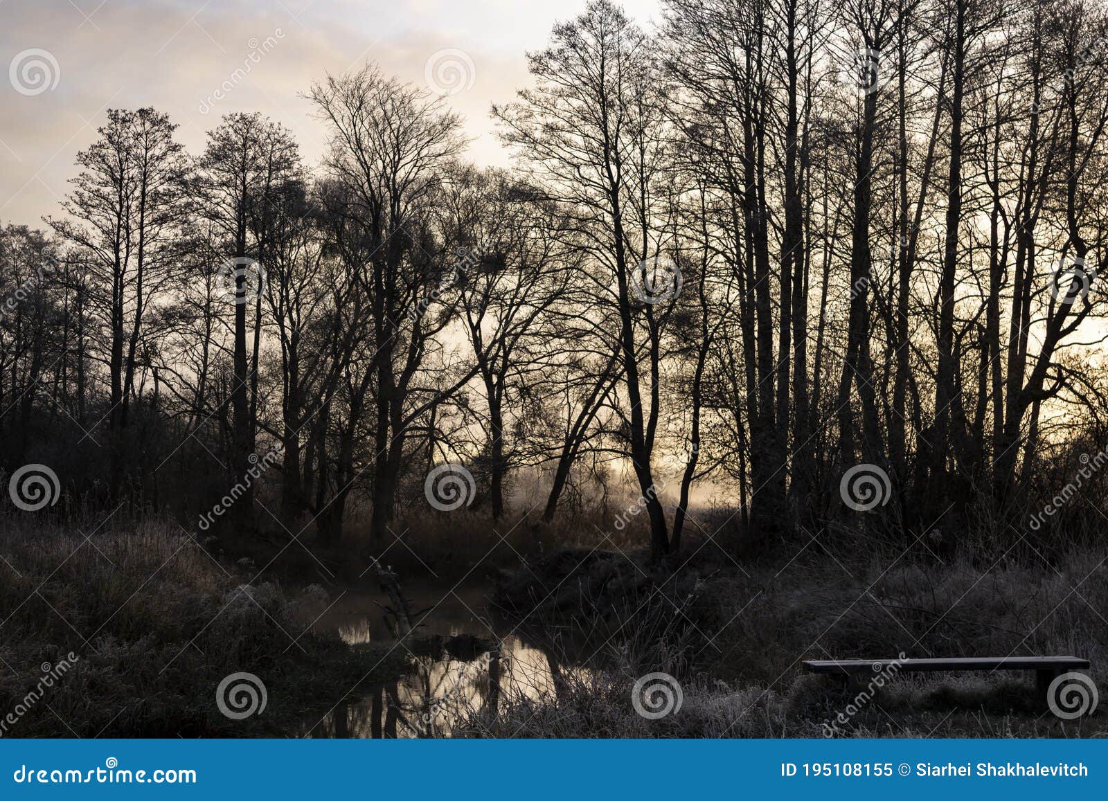 Sunrise over the river stock image. Image of river, shining - 195108155