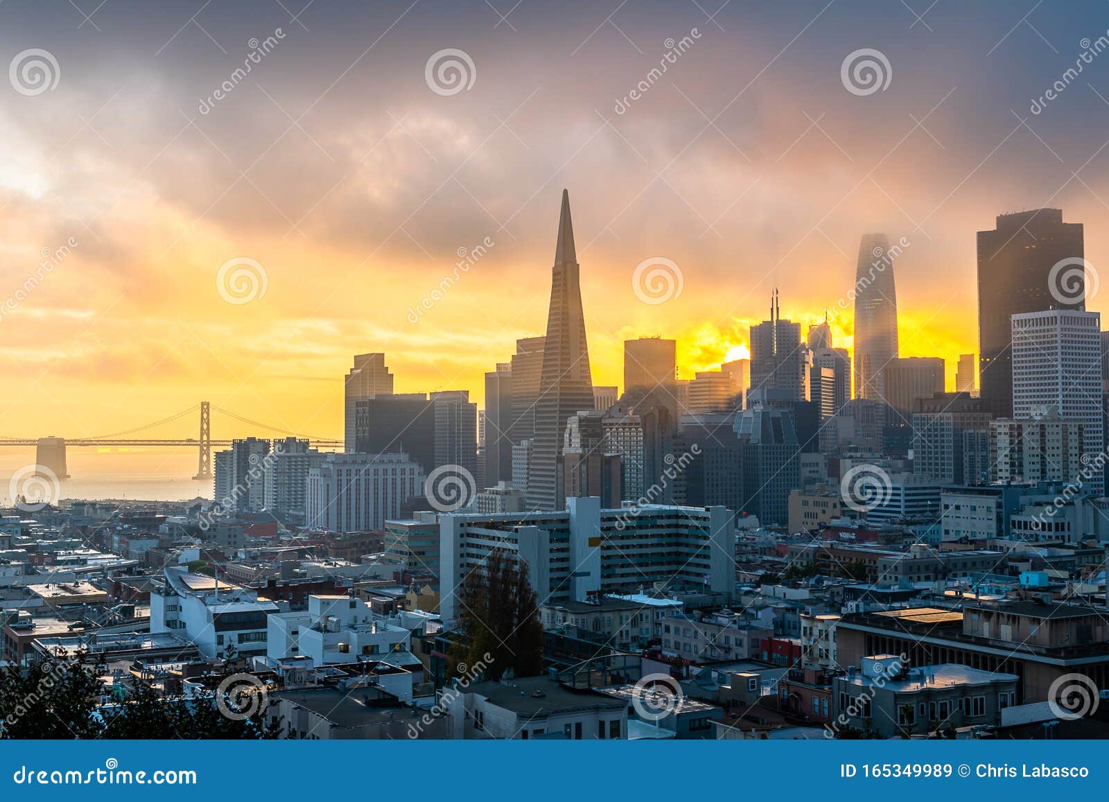 Ina Coolbrith Park at Sunrise Stock Image - Image of dawn, city: 165349989