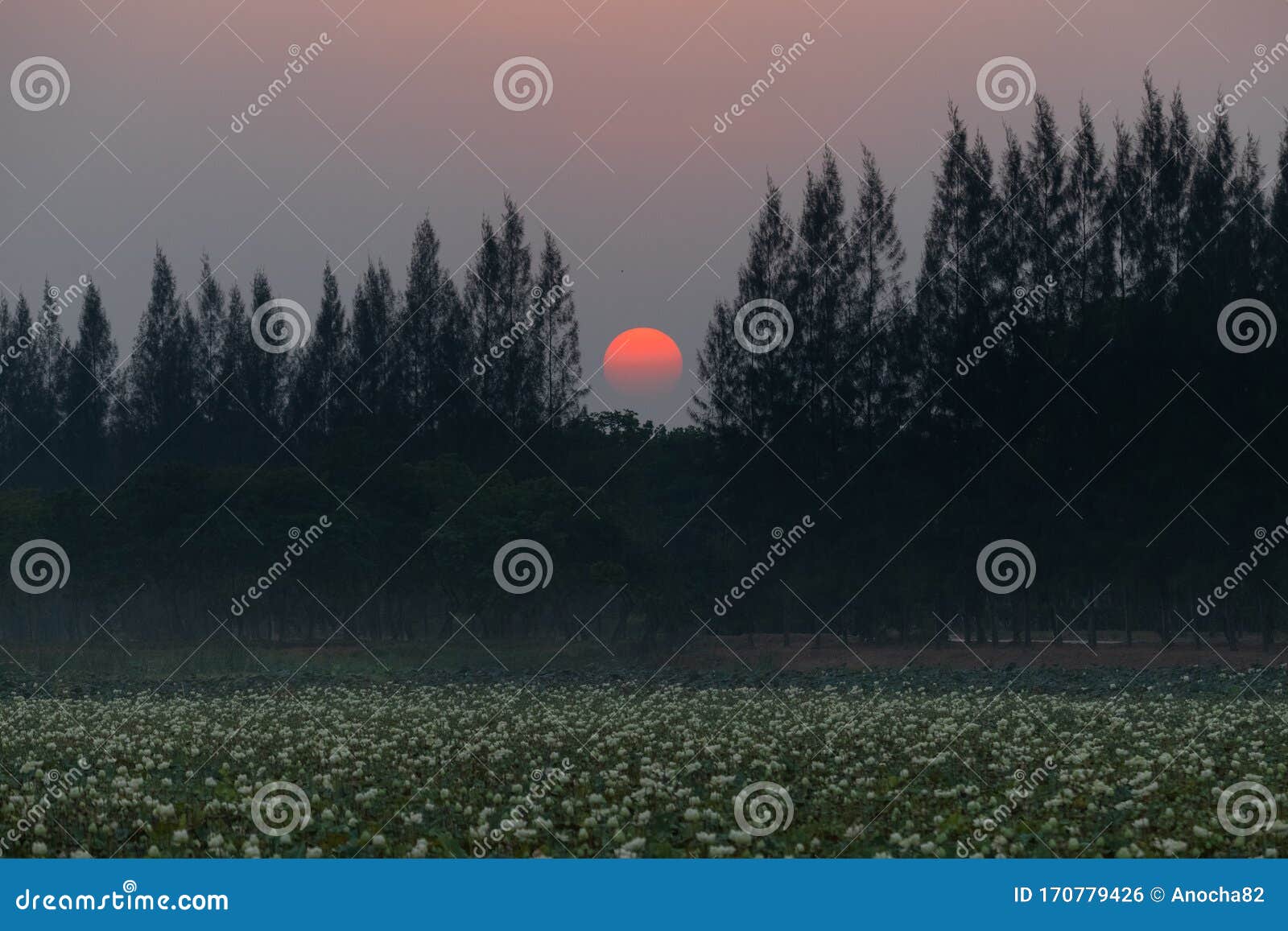 Sun rises and sunset. stock photo. Image of blue, lens - 170779426