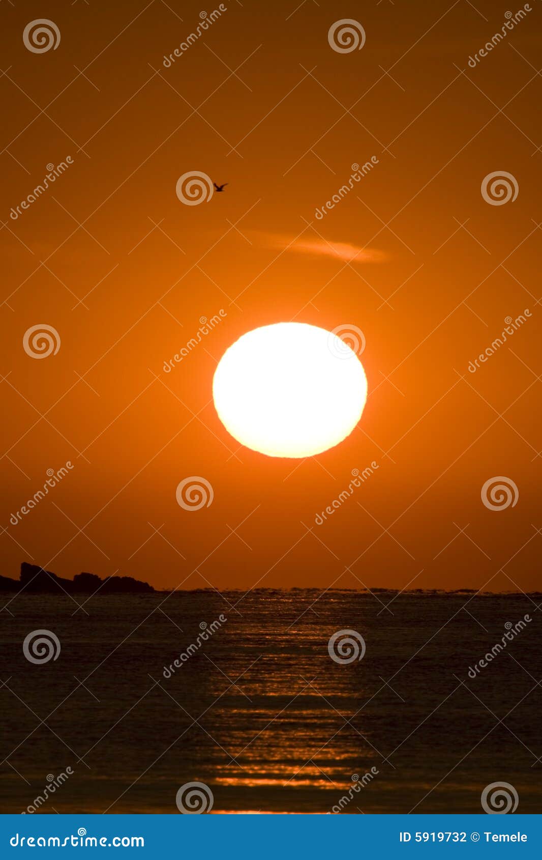 Sun rising stock photo. Image of warm, waves, born, morning - 5919732