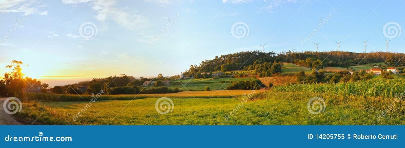 Sun Rising on a Country Scene Stock Image - Image of tree, skyline ...