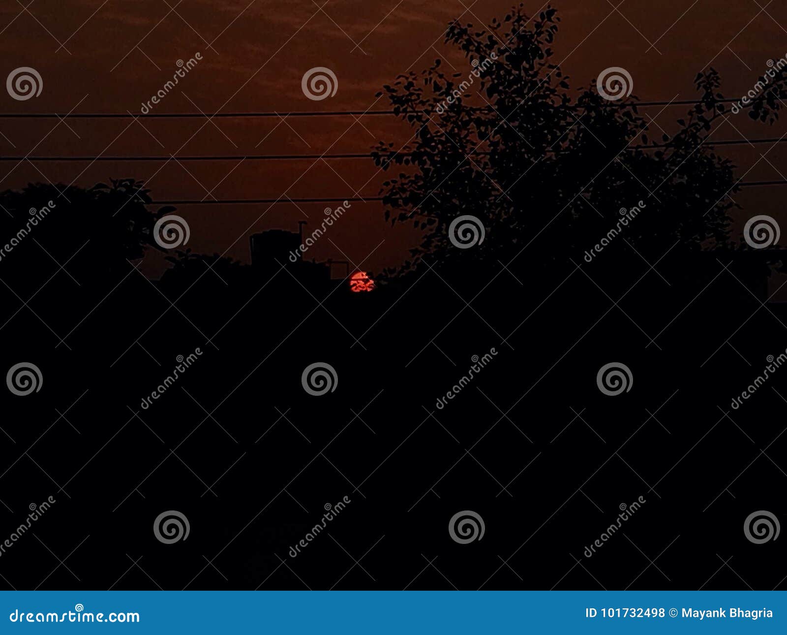 Sunrise stock photo. Image of sunlight, nature, rising - 101732498