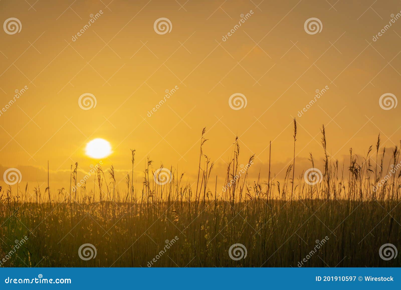 Sun rising in a field stock image. Image of cloud, water - 201910597