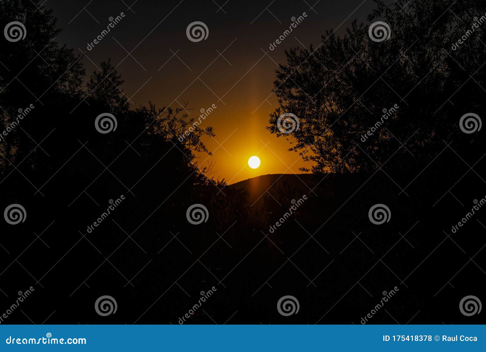 Sun Rising from a Hill with Trees in Front Stock Photo - Image of hill ...