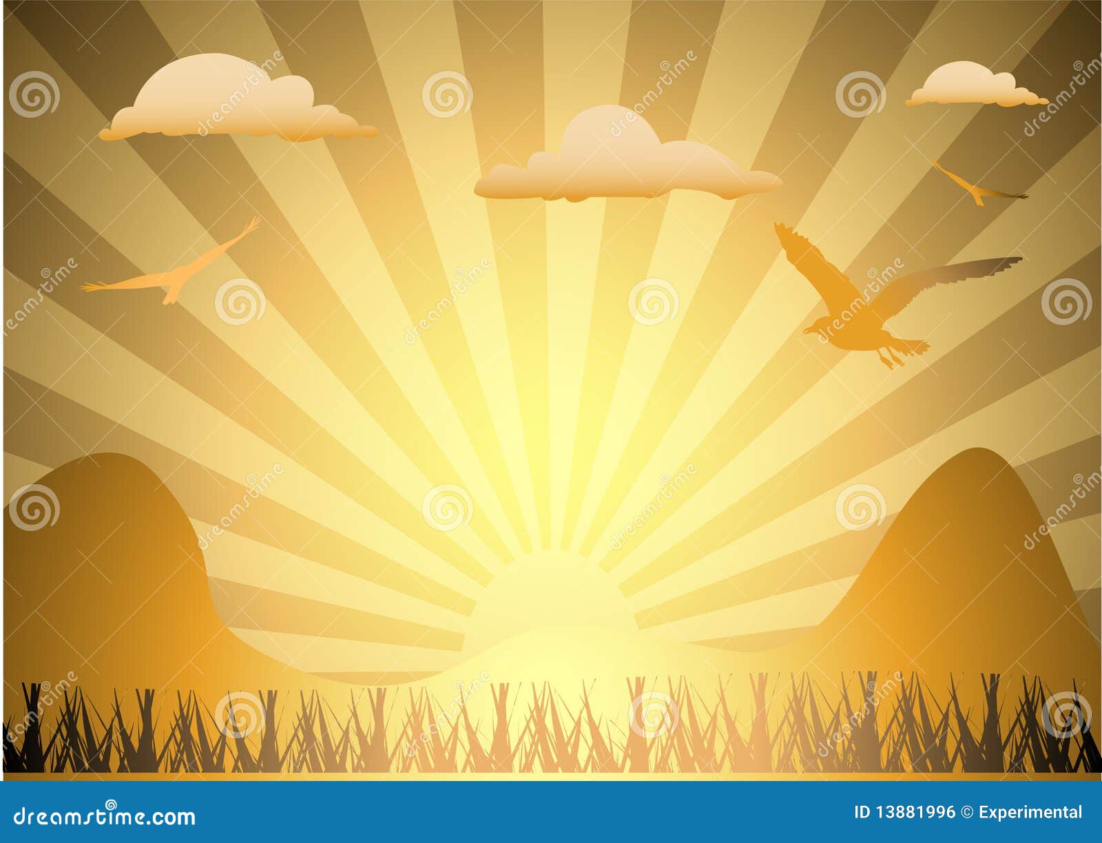 Sun Rising over field stock vector. Illustration of design - 13881996