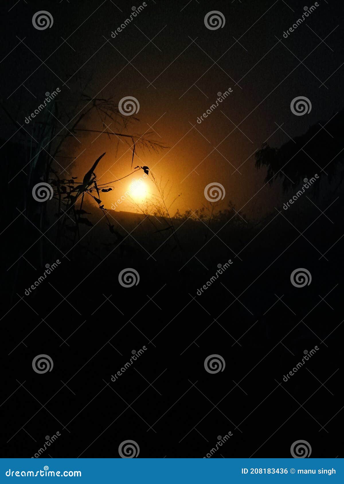 Sun Rising from Wild Fake or Real Stock Photo - Image of real, rising ...