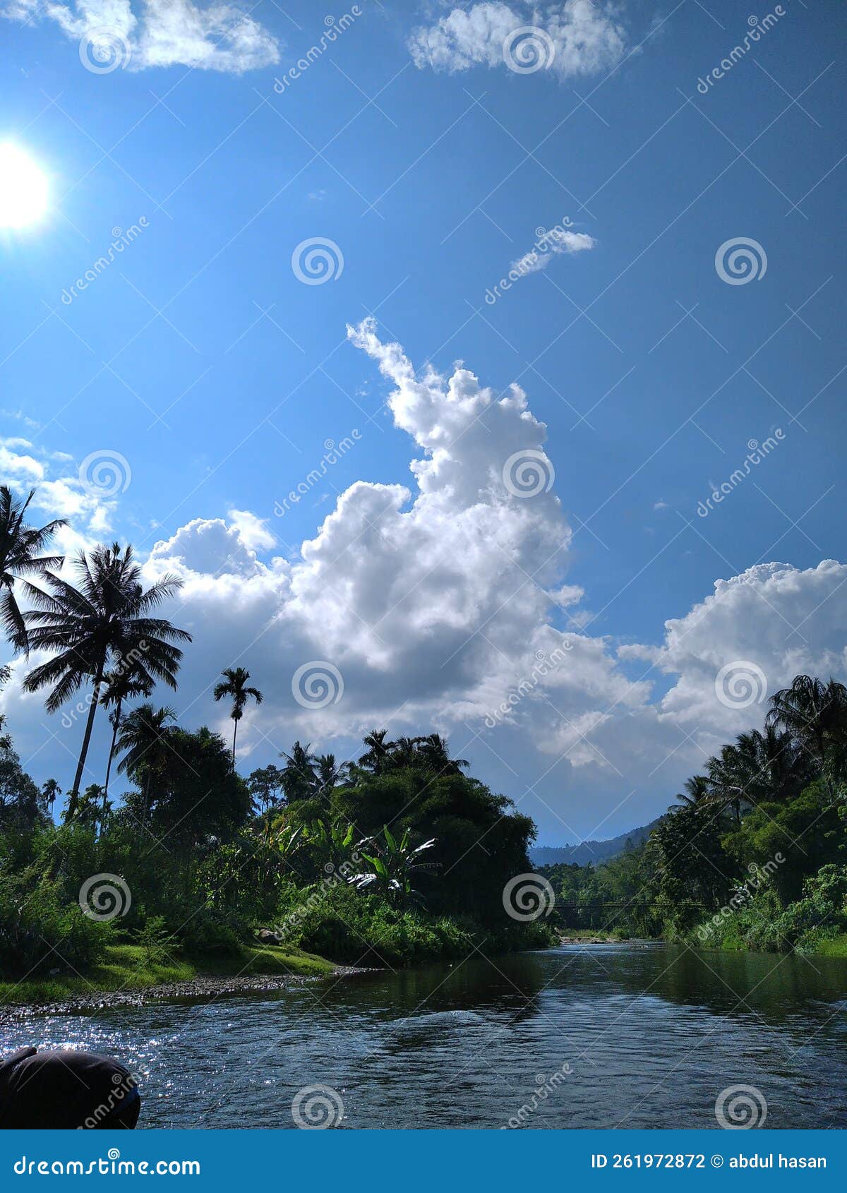 Sun and River Sky Cloud Palm and Many Trees Stock Photo - Image of palm ...