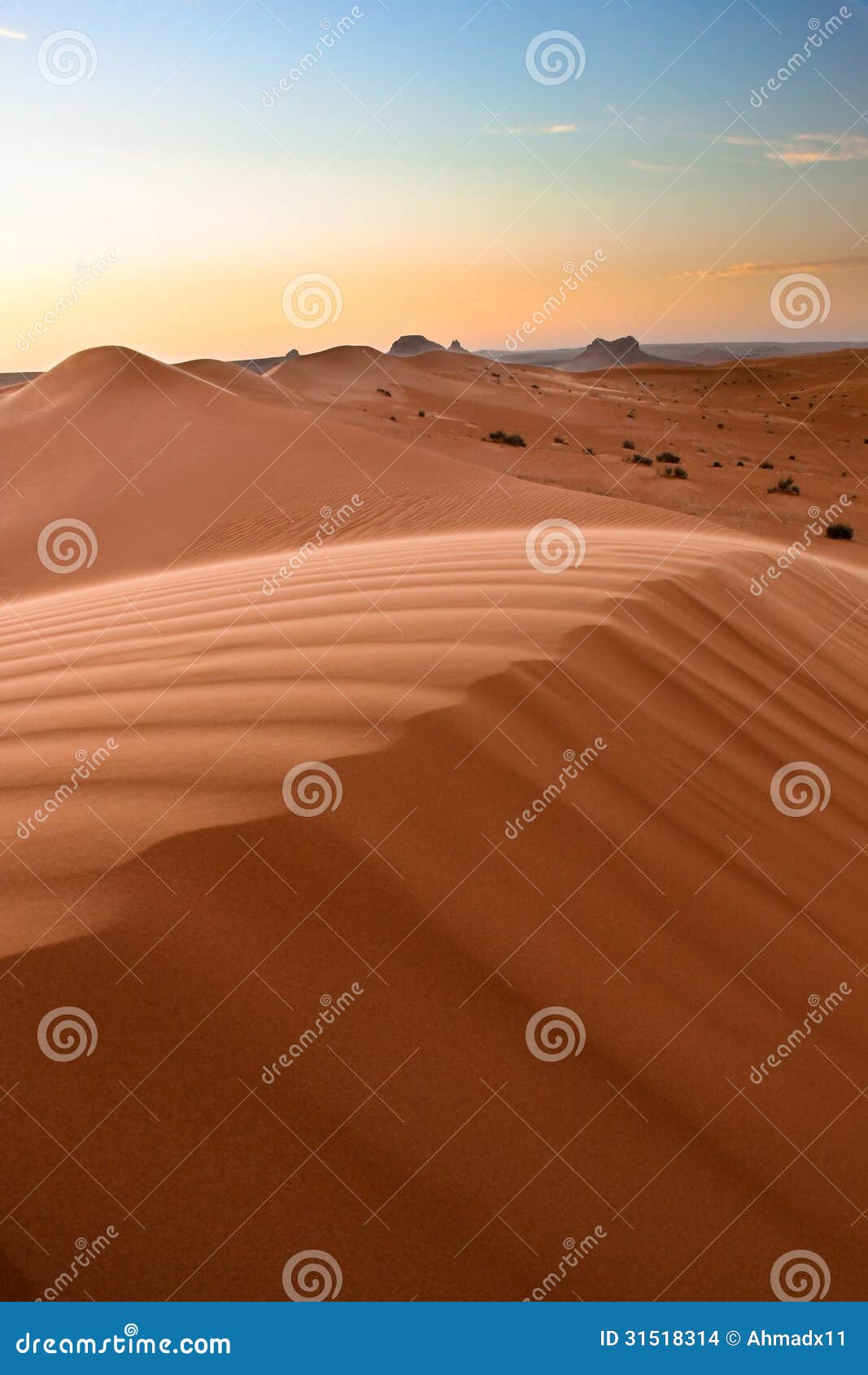 Deserts riyadh nature stock photo. Image of park, trees - 31518314