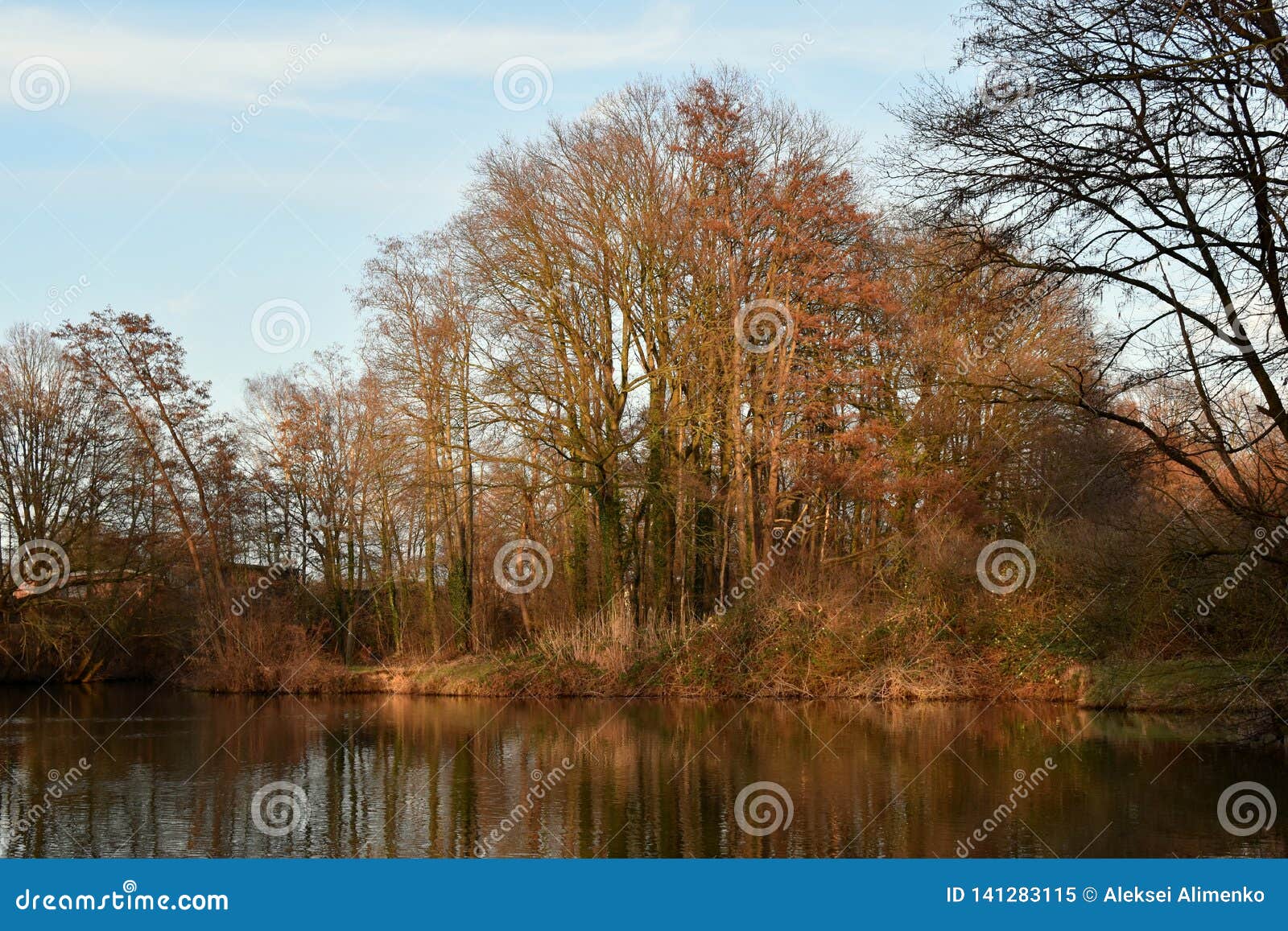 The Sun`s Rays Illuminate the Forest and the River. Evening Stock Image ...