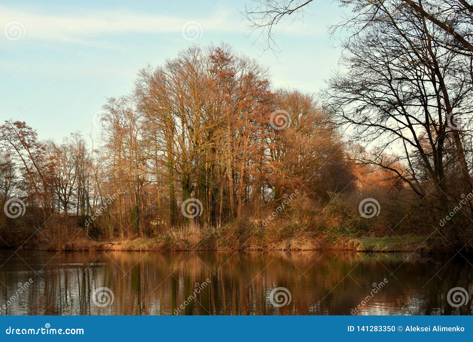 The Sun`s Rays Illuminate the Forest and the River. Evening Stock Photo ...