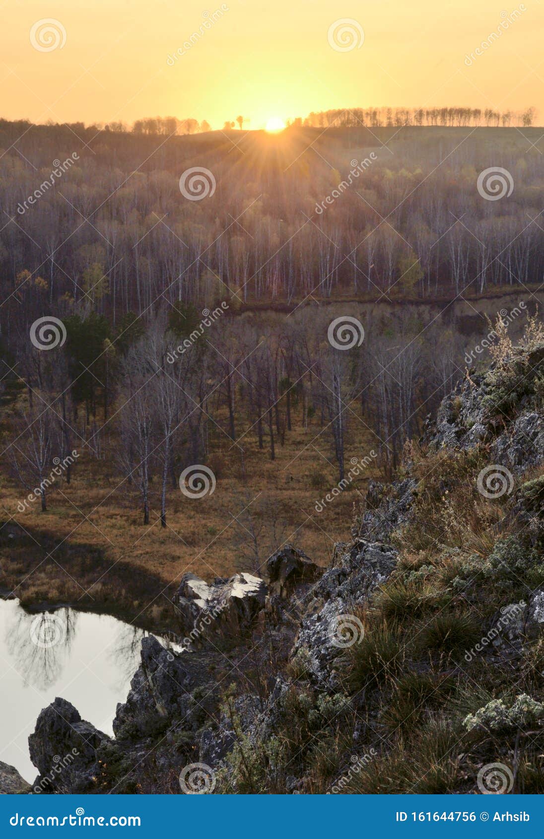 The Sun`s Rays Over the Forest - Vertically Stock Photo - Image of ...