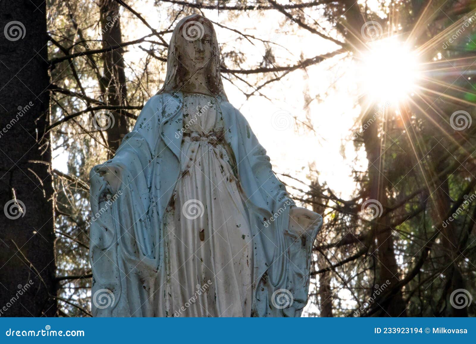 The Sun`s Rays Shine through the Trees on the Statue of the Virgin Mary ...