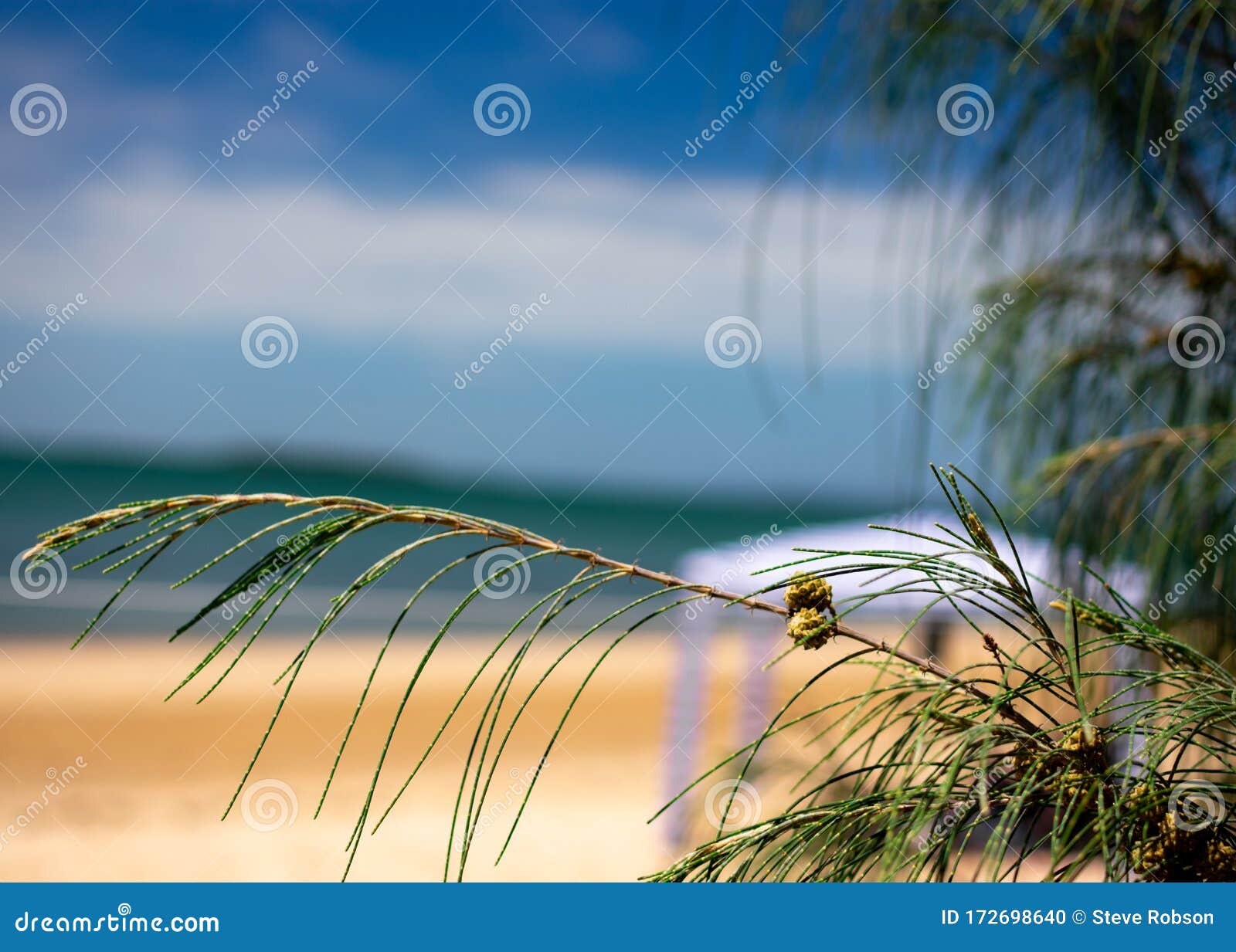 Sun, sea and sand. stock photo. Image of beach, relax - 172698640
