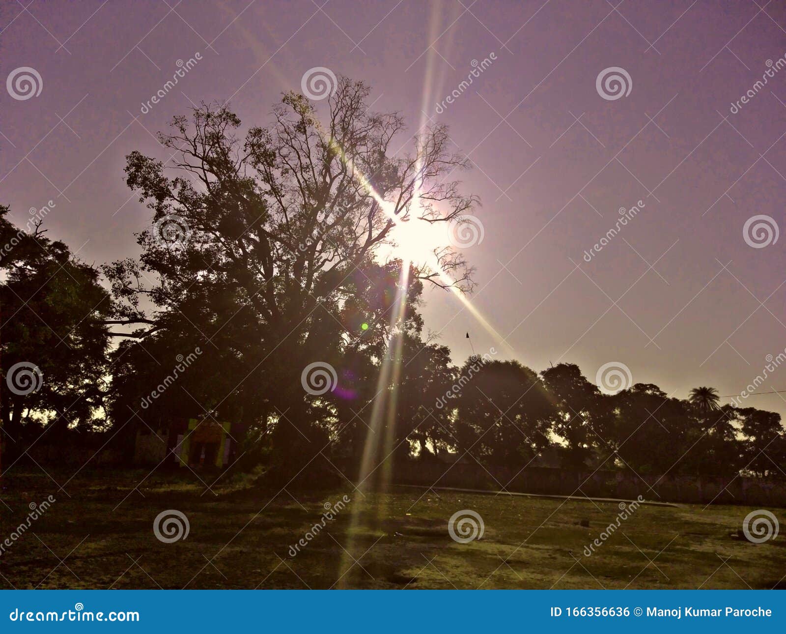 The sun sed stock photo. Image of light, evenings, belu - 166356636