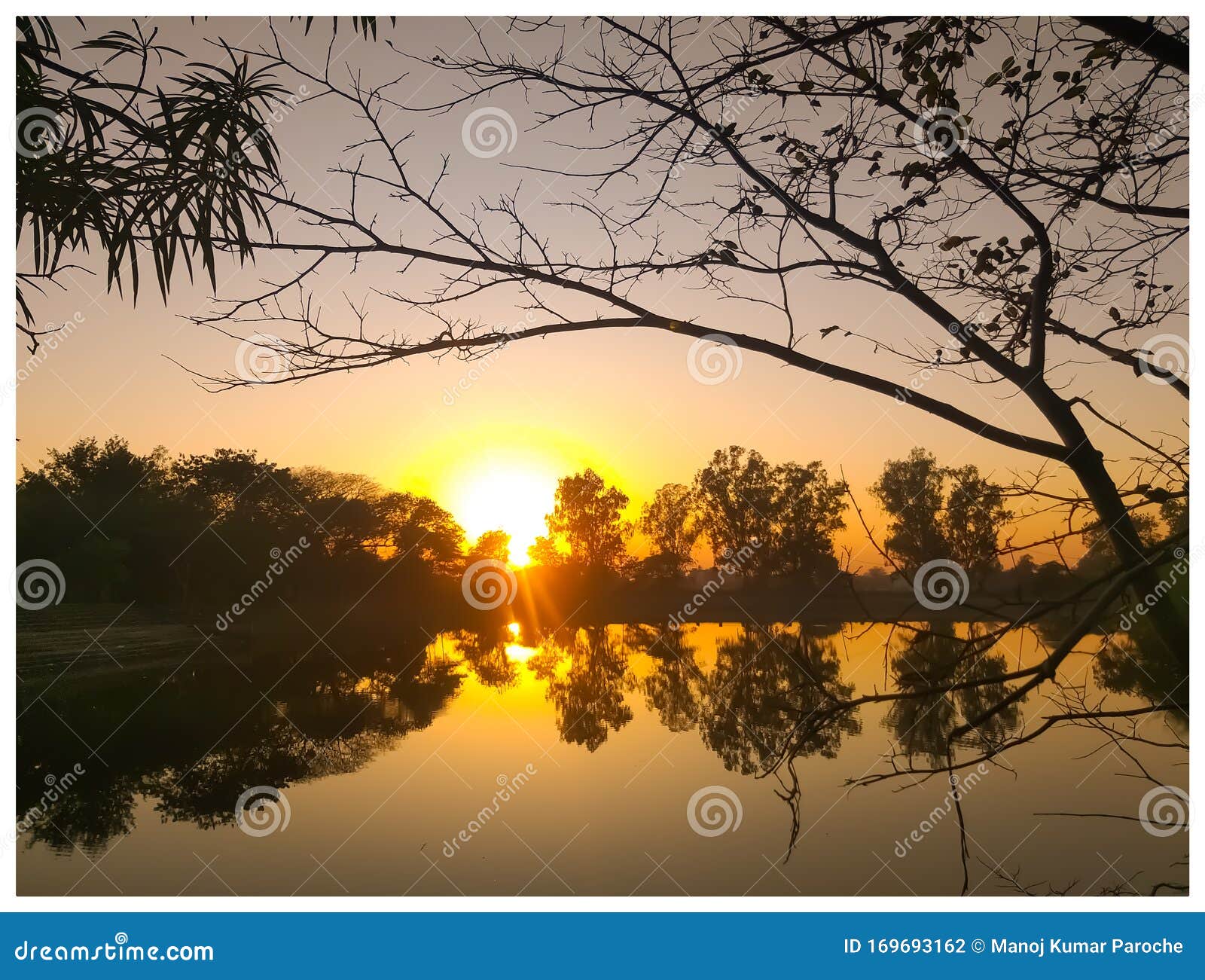 Sun Sed with Yellow Sun Light and Trees Sedo in Water Stock Photo ...