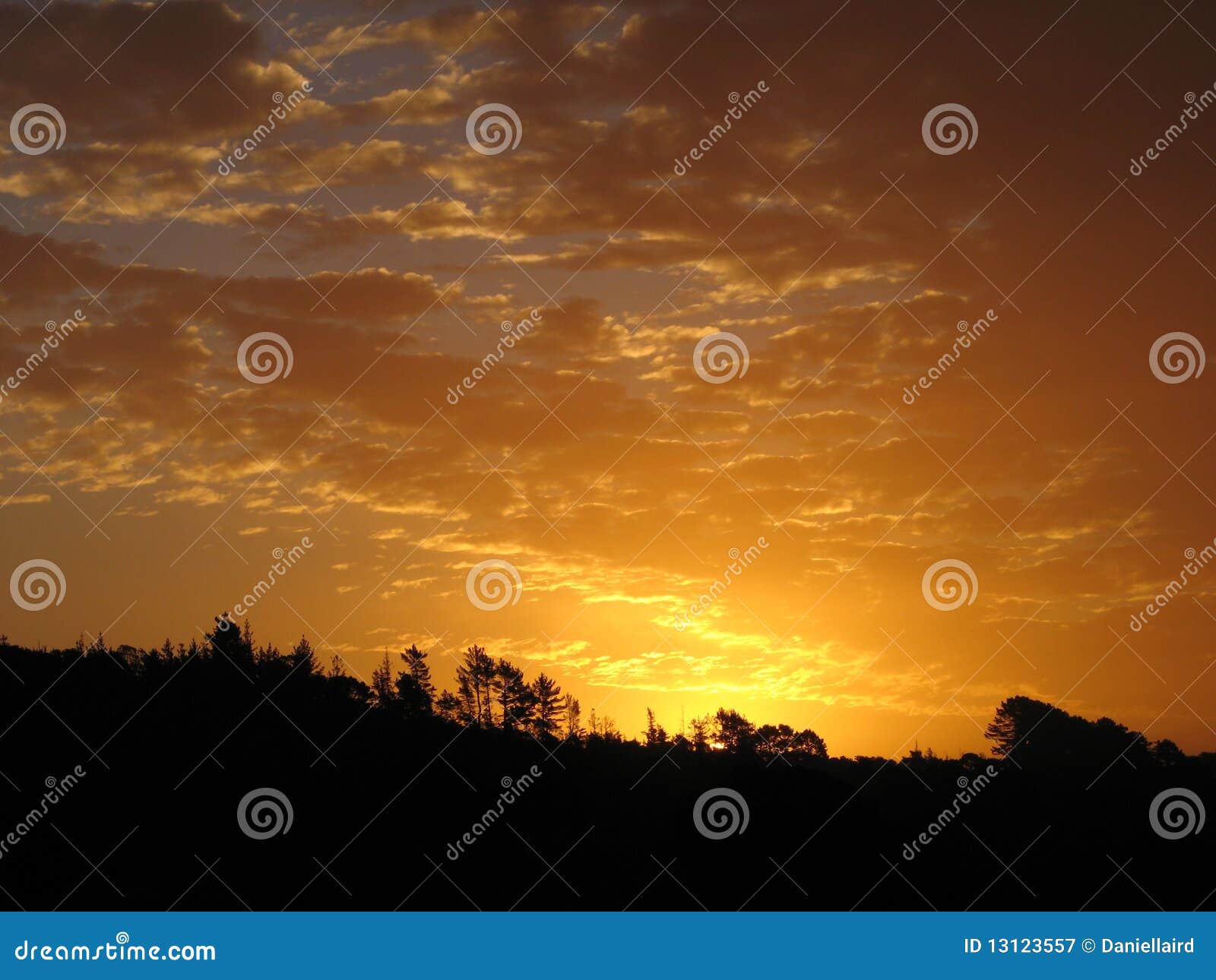 Sun Set stock image. Image of sunset, sunrise, trees - 13123557