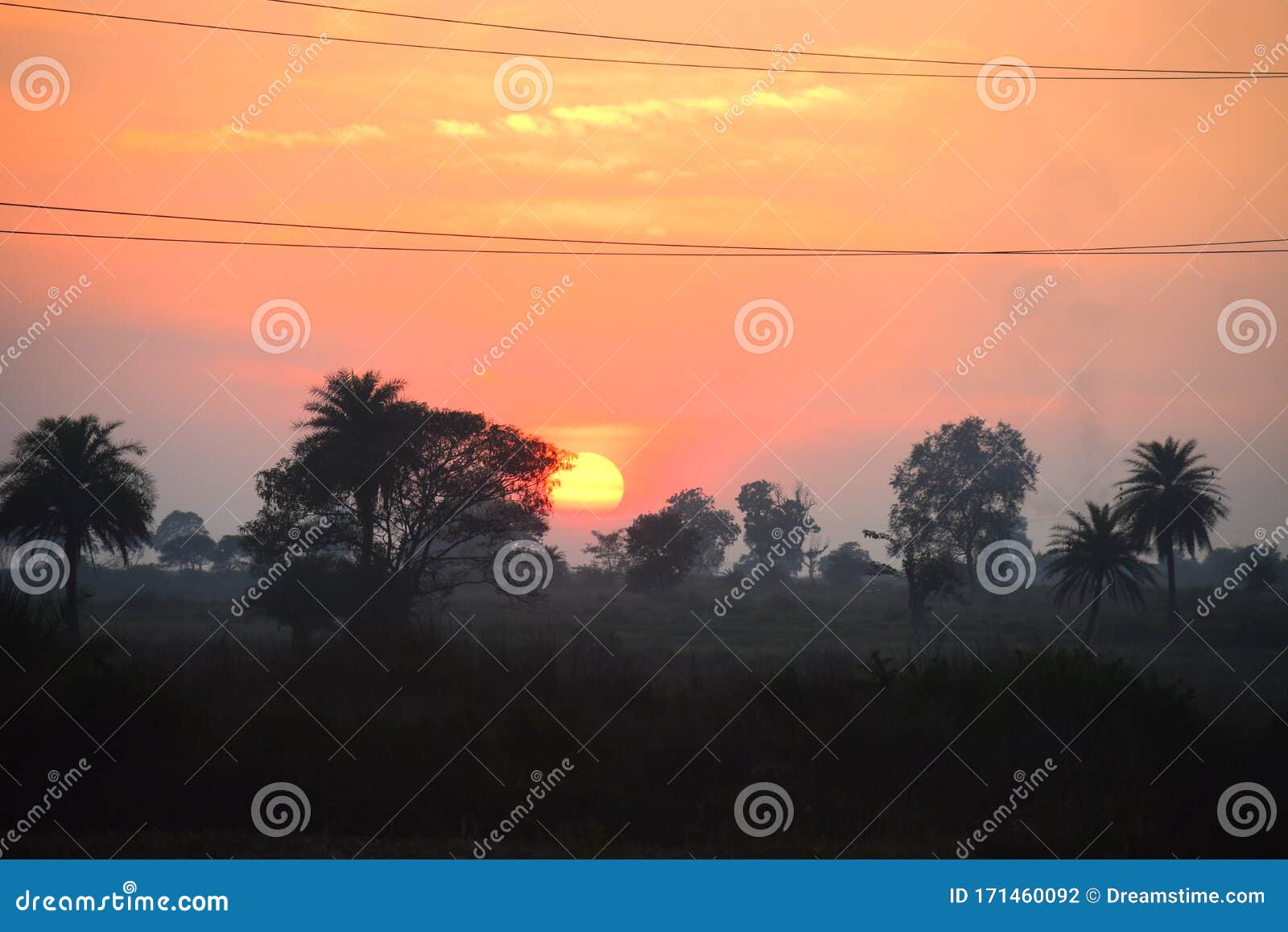 Sun Set Beauty Classy Stable Stock Photo - Image of stable, classy ...