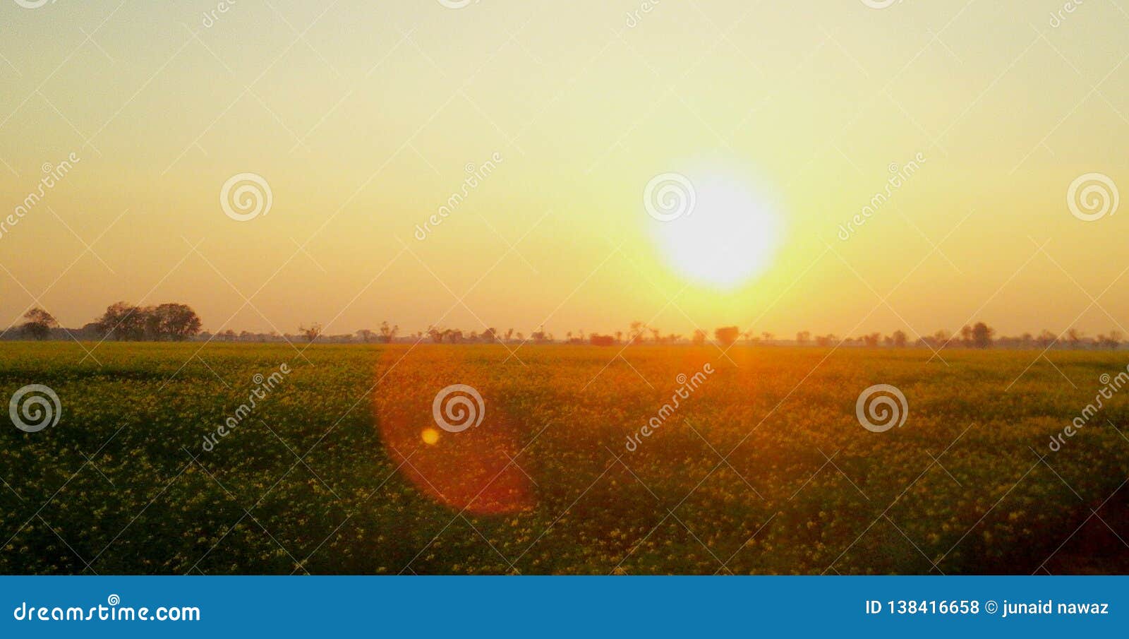 Sun Set Crops in the West Beautifull Stock Photo - Image of west, crops ...