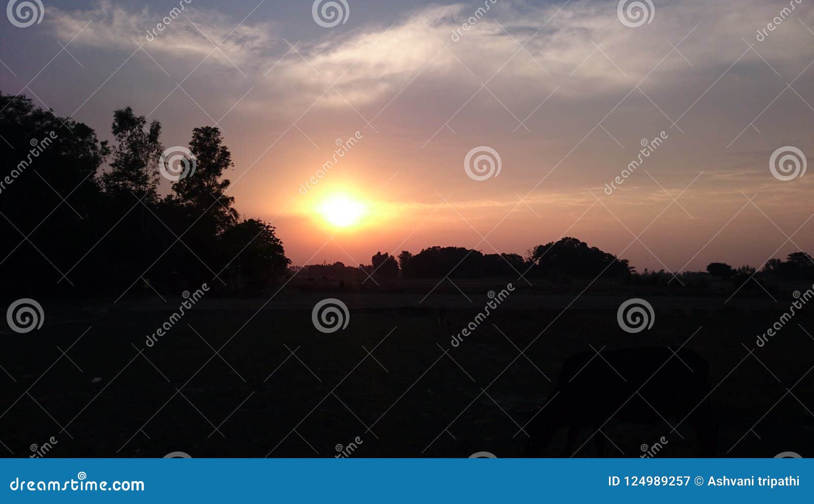 Sun set stock image. Image of evening, click, time - 124989257