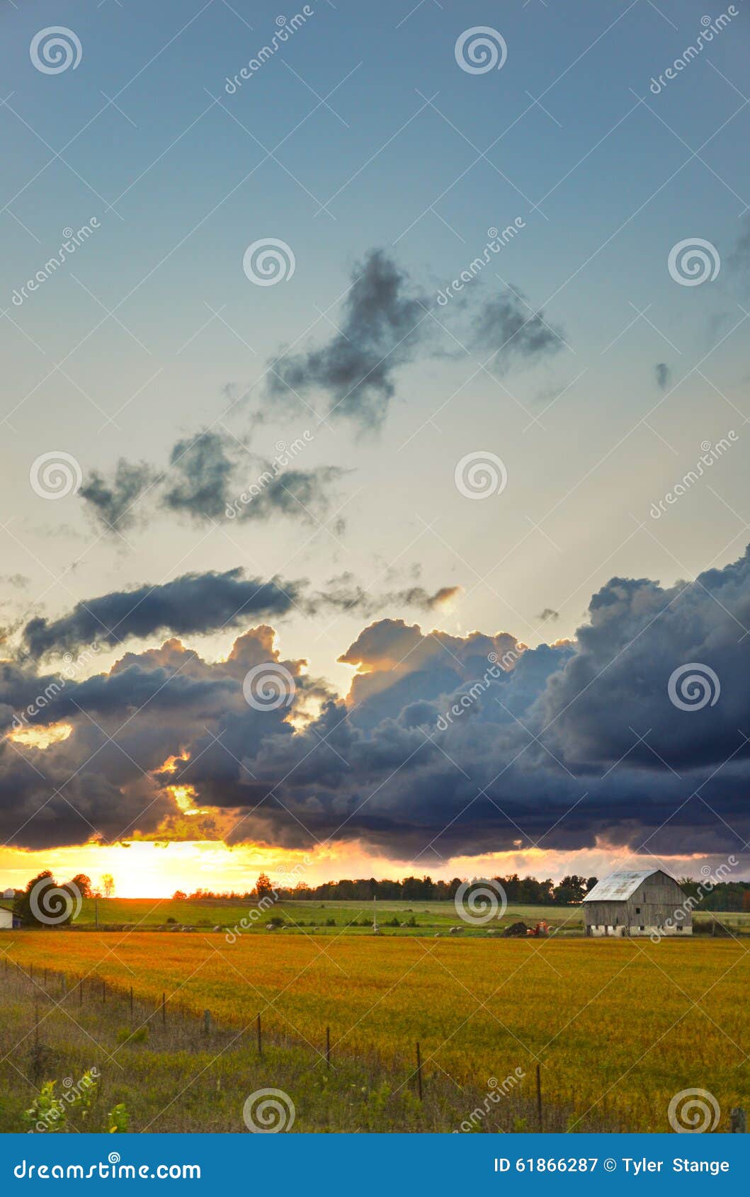 Sun-Set in a Farmers Feild stock image. Image of vibrant - 61866287