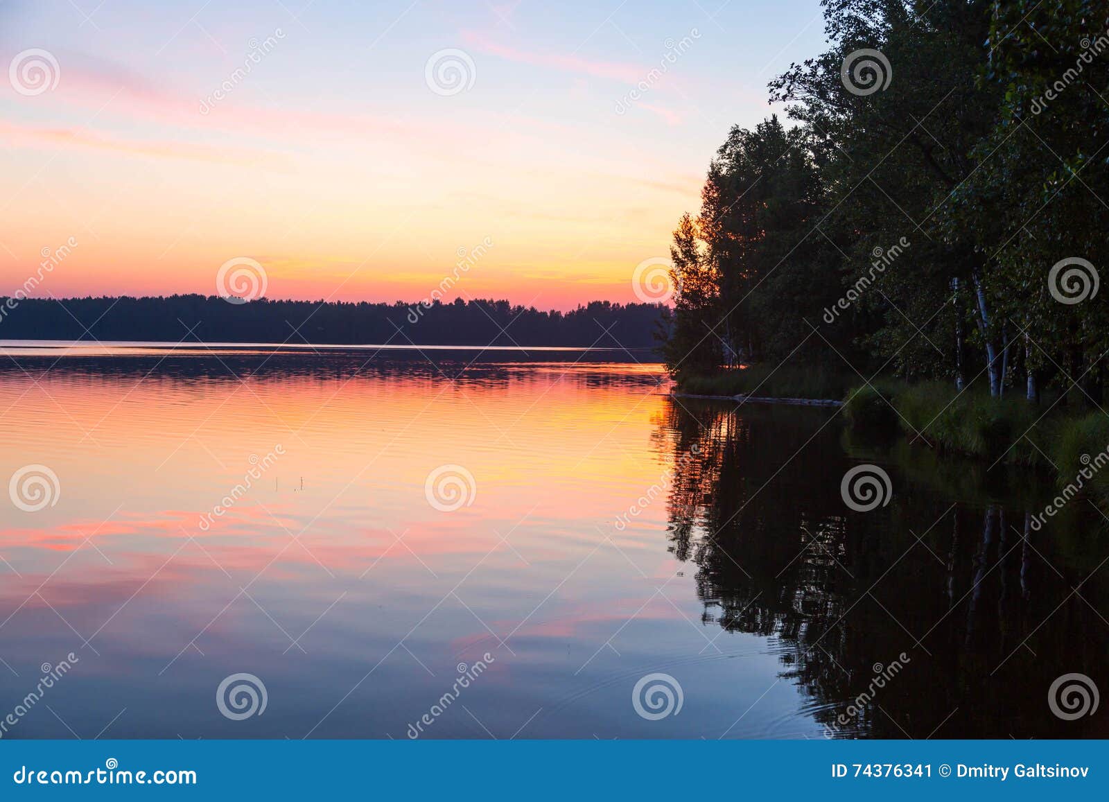 Sun Set on the Lake in Forest Stock Image - Image of pond, light: 74376341
