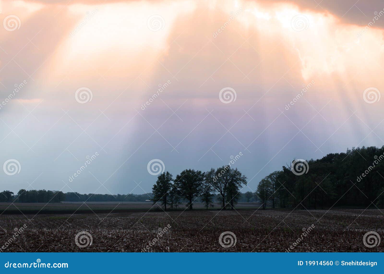 Sun set over field stock photo. Image of landscape, lawn - 19914560
