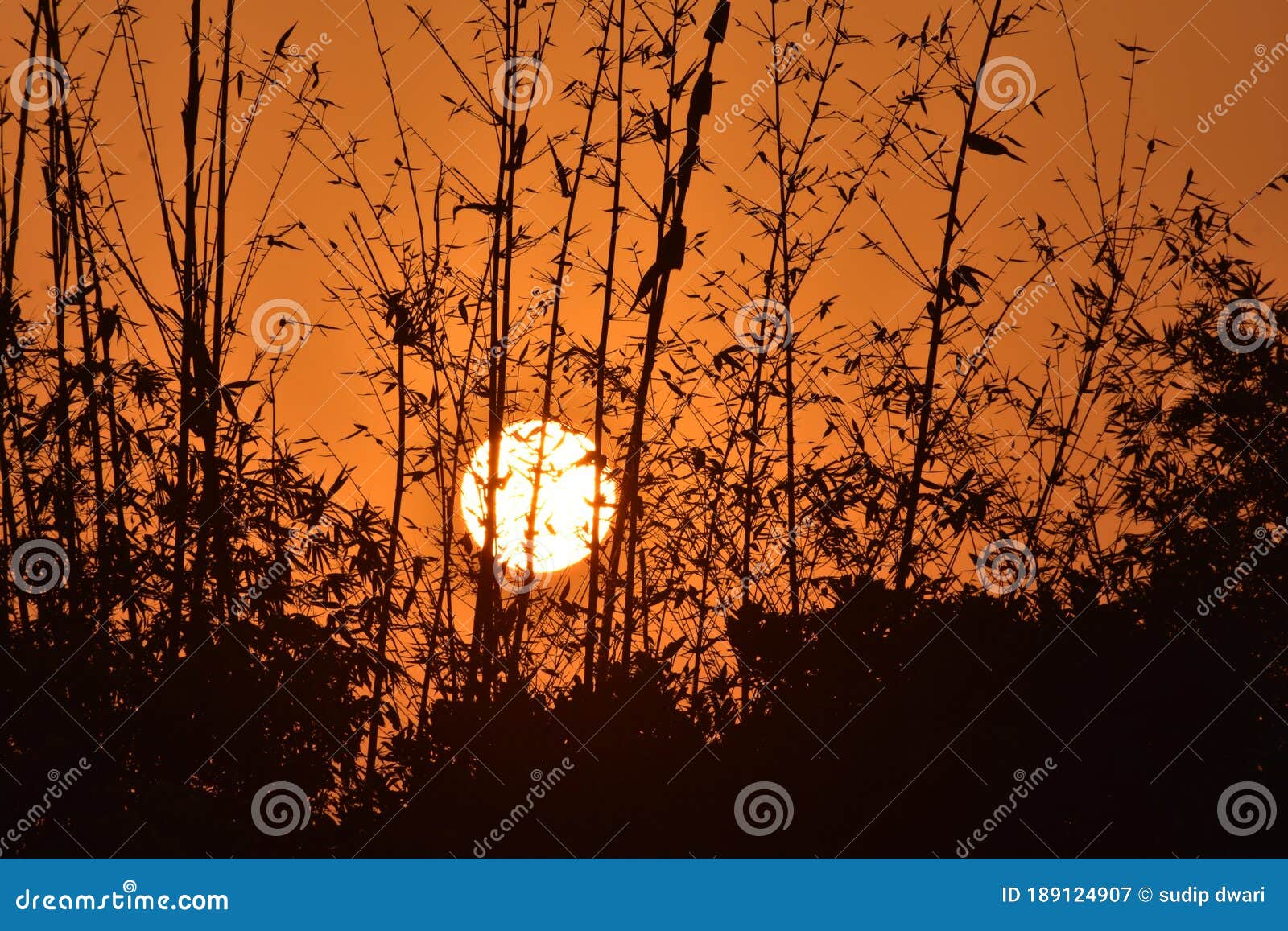 Sun Set Picture.sun Set Wallpapers Stock Image - Image of sunset ...